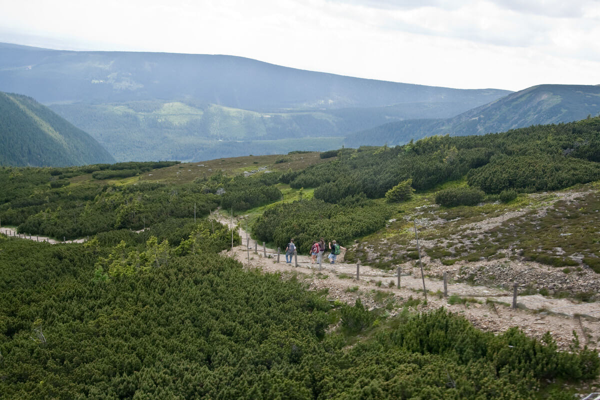 Pec pod Sněžkou, Czechy - Agrohippika